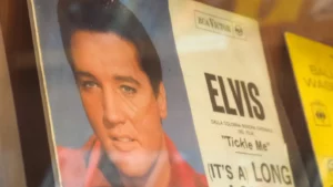 elvis presley single record – Yum Fryer